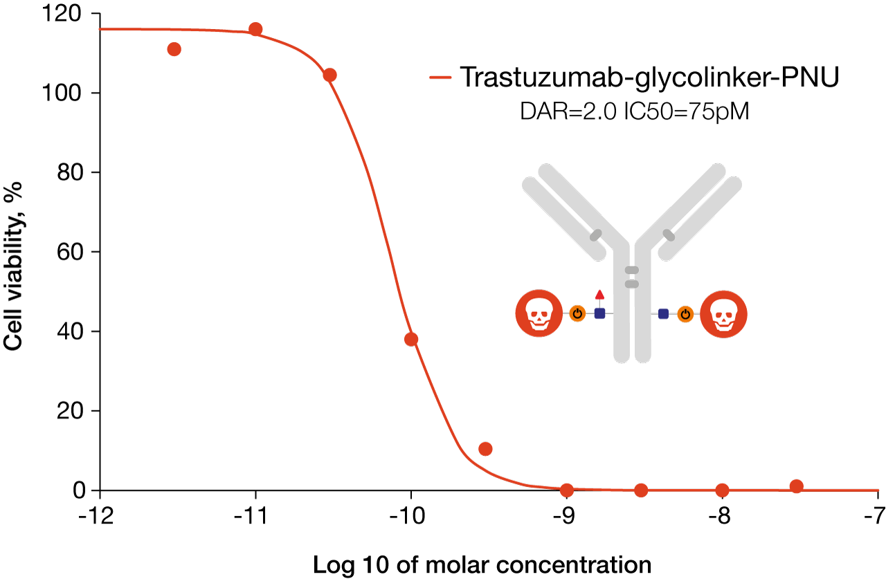 Genovis » ADC Development
