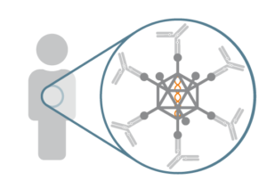 Genovis » Gene Therapy