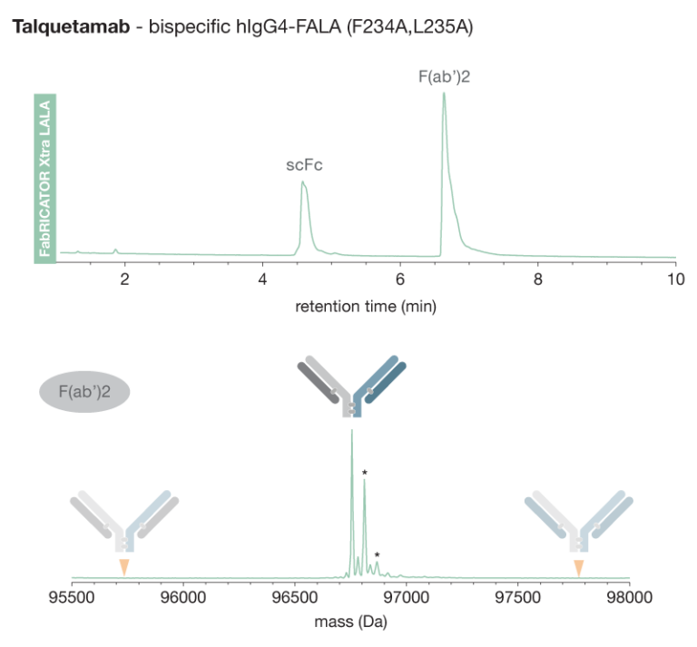 Genovis » Below Hinge Digestion of Mutated IgG