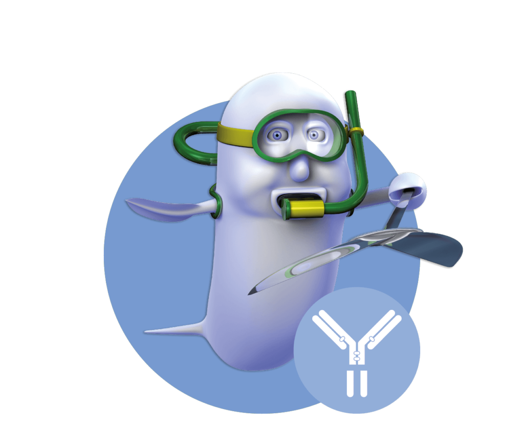 Genovis » Antibody Digestion